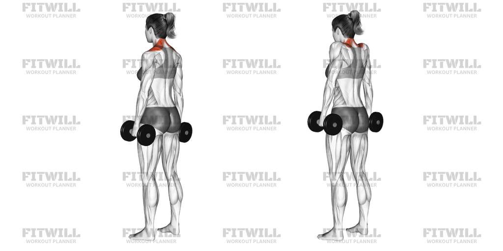 Dumbbell Shrug (female): Guide, Techniques, Benefits, How to, Muscles ...