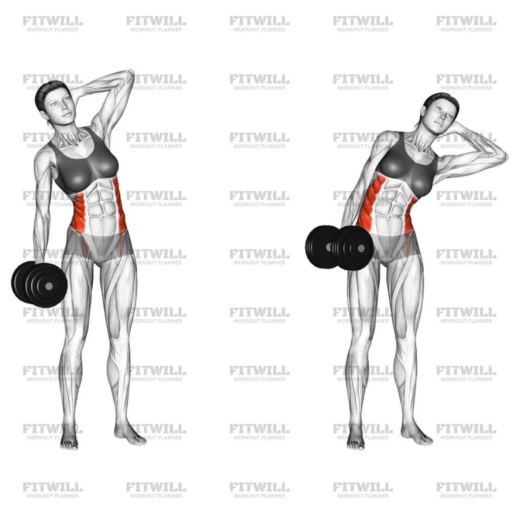 Dumbbell Side Bend: Exercise Guide, Video, Techniques, Benefits, How to ...