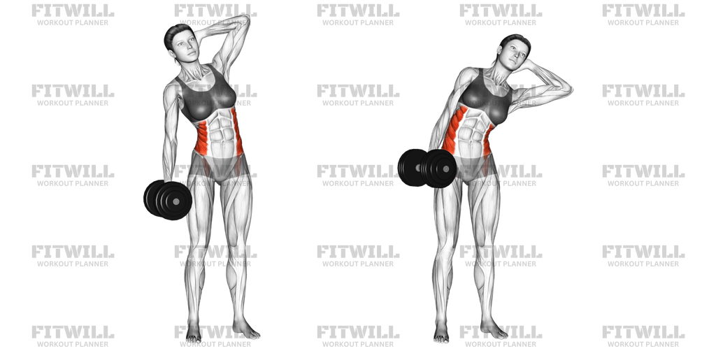Flexión Lateral Con Mancuerna: Guía de Ejercicios, Video, Técnicas ...