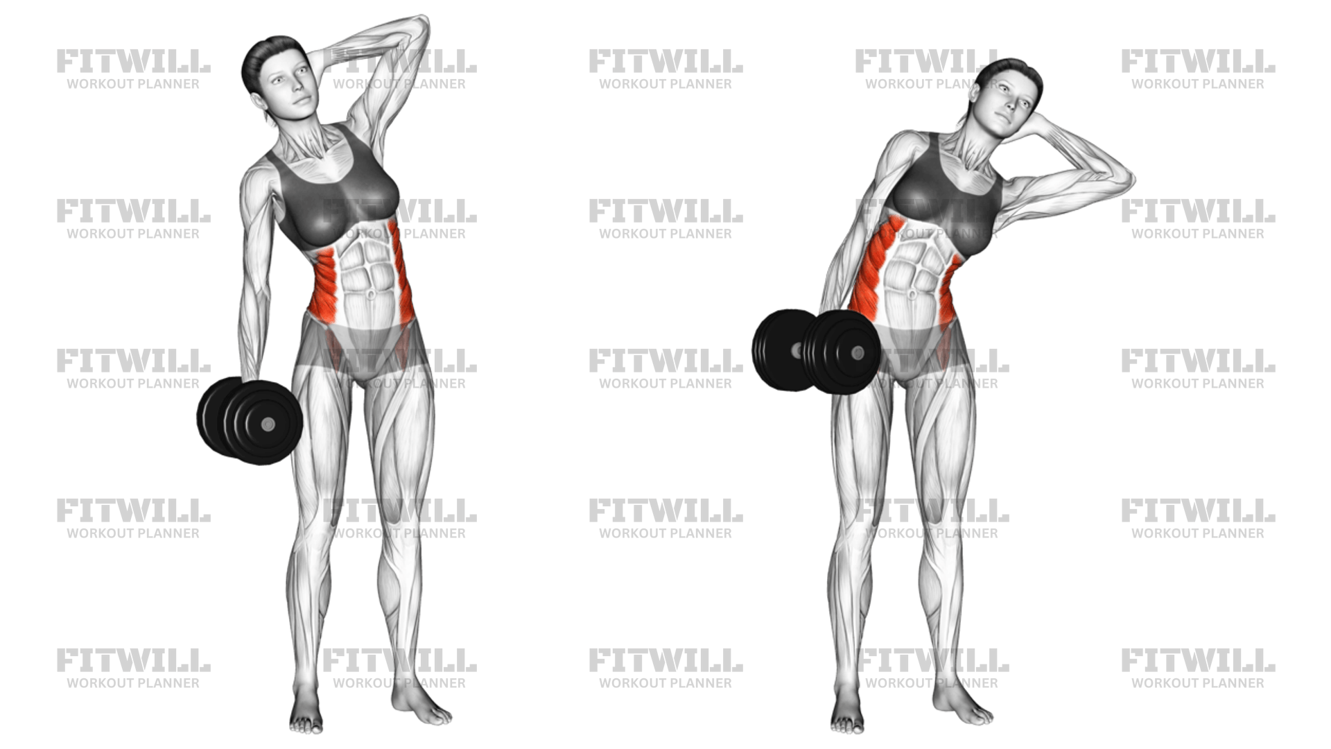 Dumbbell Side Bend: Exercise Guide, Video, Techniques, Benefits, How to ... Dumbbell Side Bend: Exercise Guide, Video, Techniques, Benefits, How to ...