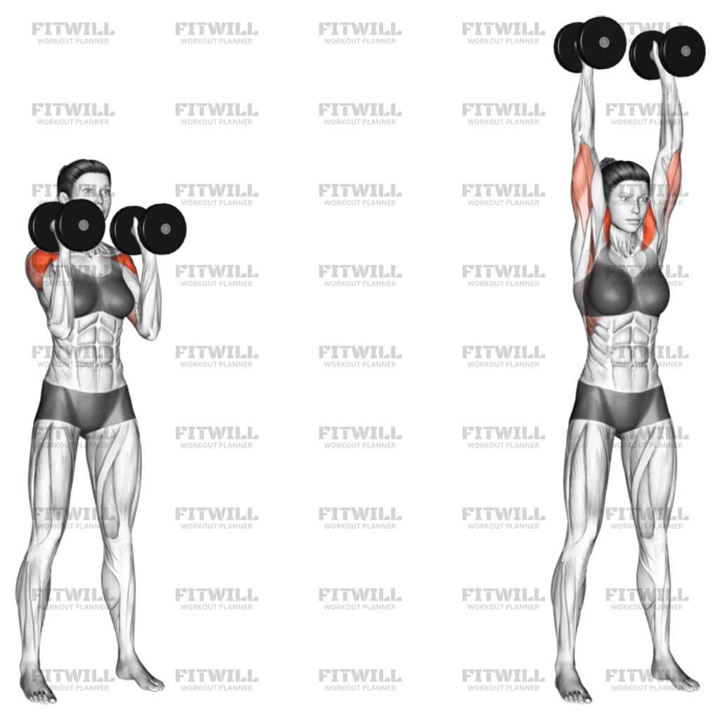 Dumbbell Standing Palms In Press: Exercise Guide, Video, Techniques, Benefits, How to, Muscles ...