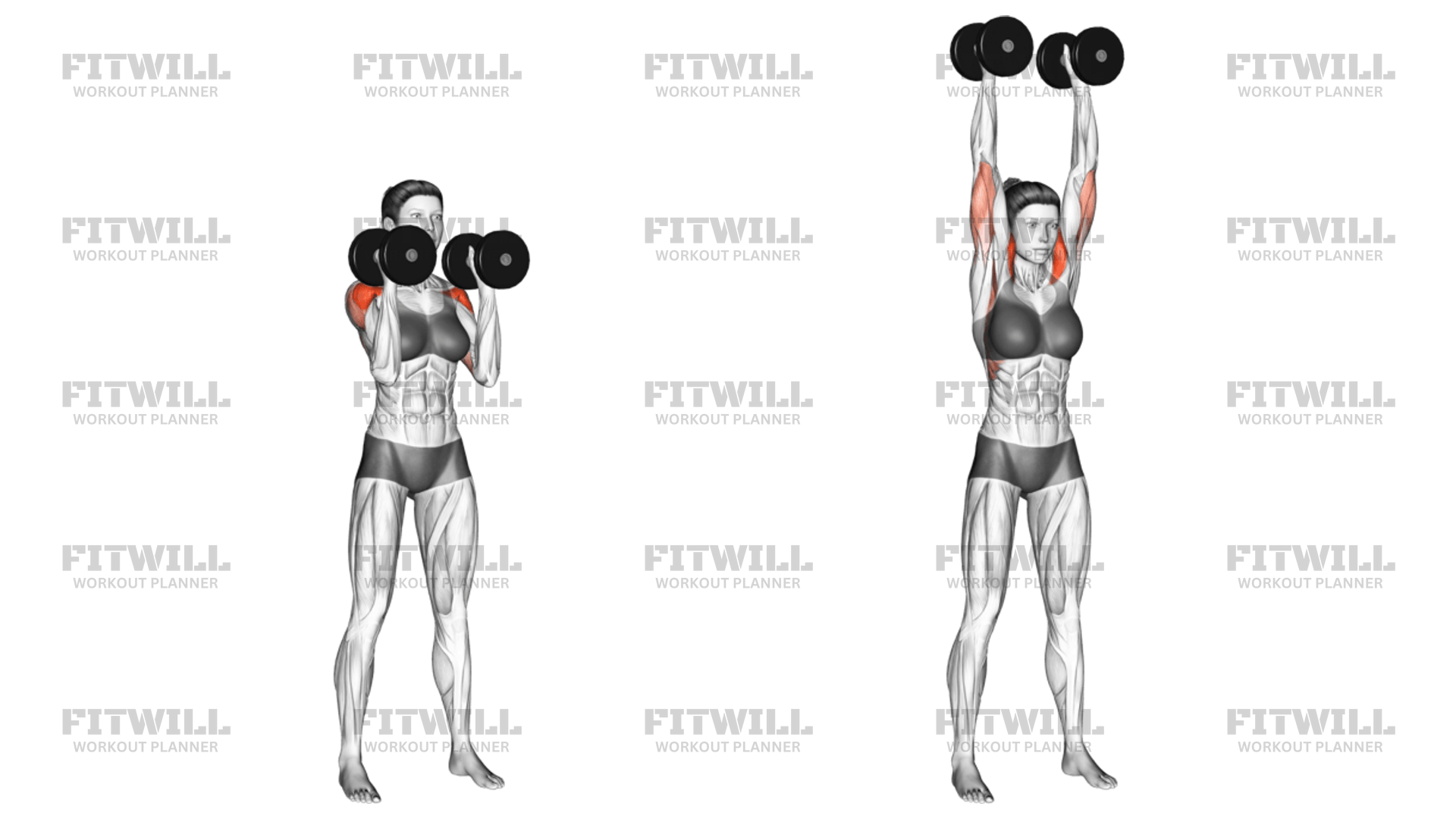 Dumbbell Standing Palms In Press: Exercise Guide, Video, Techniques ...