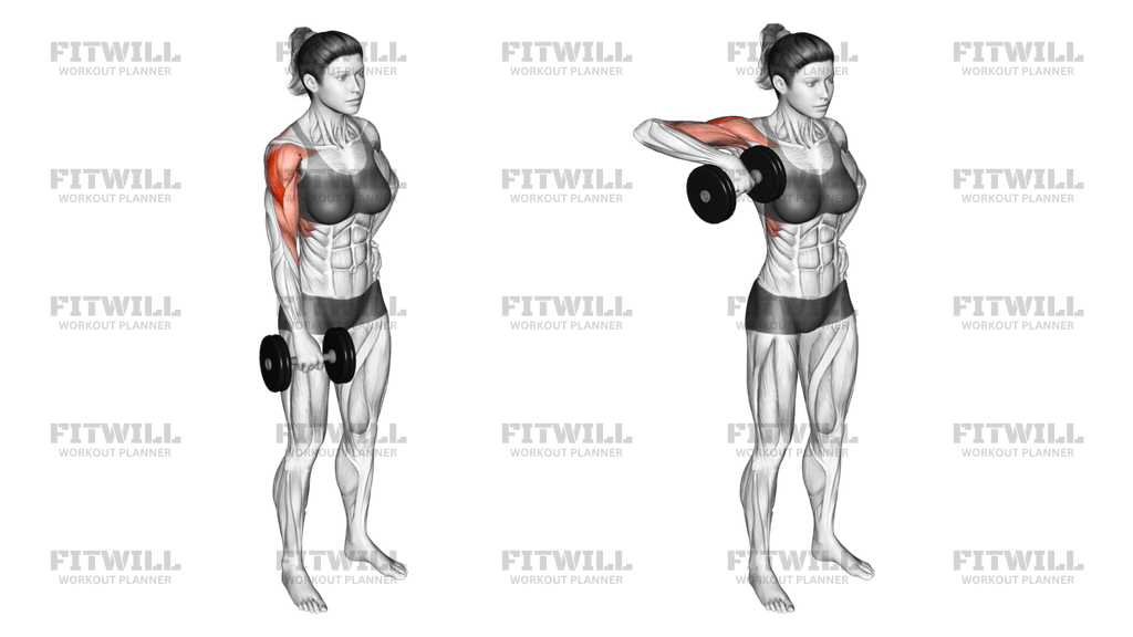 Dumbbell One Arm Upright Row: Exercise Guide, Techniques, Benefits, How ...