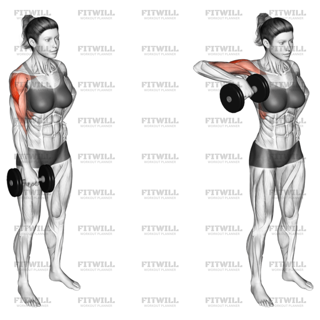 Dumbbell One Arm Upright Row: Exercise Guide, Techniques, Benefits, How ... Dumbbell One Arm Upright Row: Exercise Guide, Techniques, Benefits, How ...
