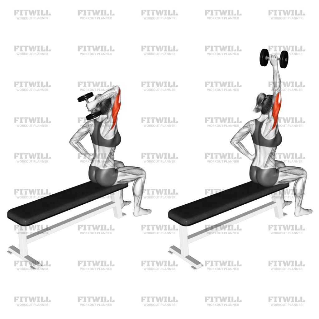 Dumbbell One Arm Triceps Extension (on Bench): Exercise Guide, Video ...