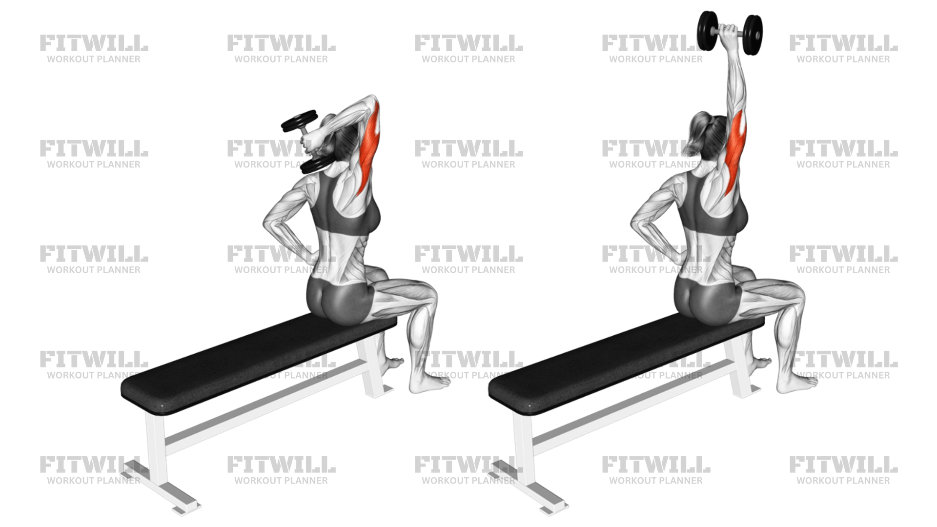 Dumbbell One Arm Triceps Extension (on Bench): Exercise Guide, Video, Techniques, Benefits, How ...