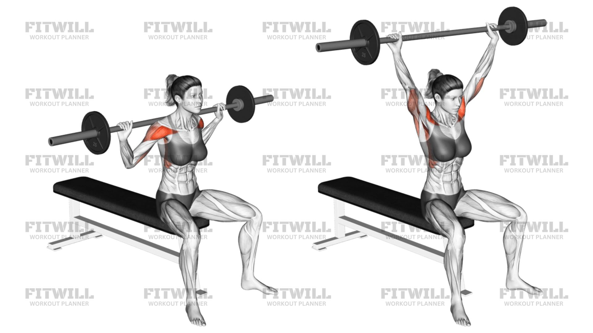 Barbell Seated Behind Head Military Press: Exercise Guide, Video ...