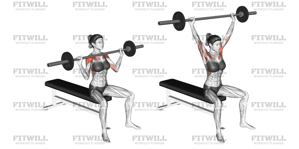 Barbell Seated Overhead Press: Exercise Guide, Video, Techniques, Benefits, How to, Muscles ...