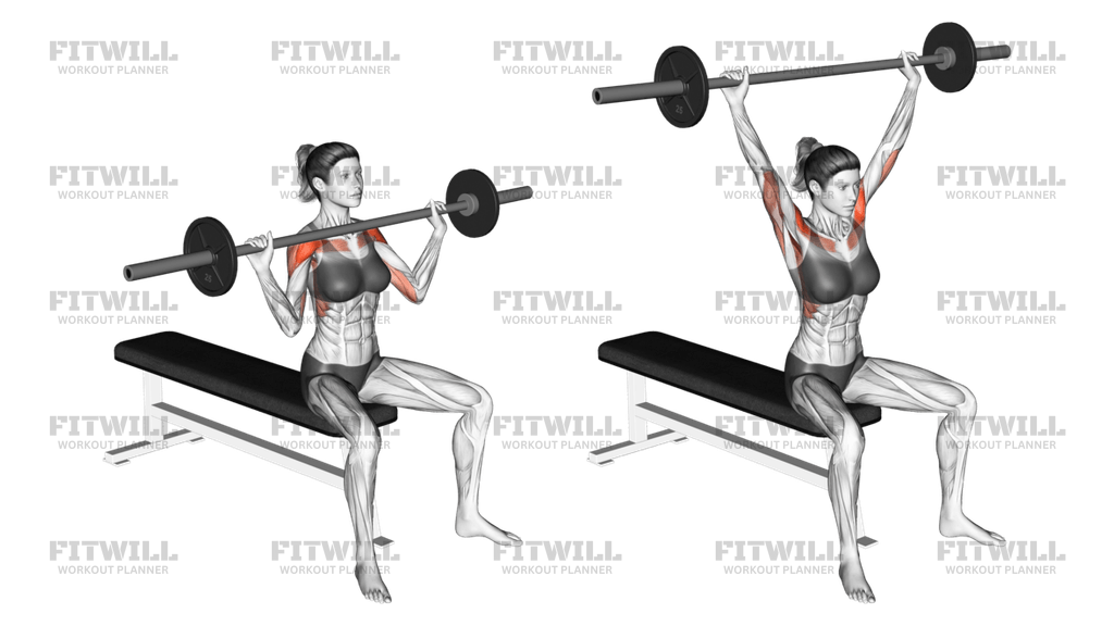Barbell Seated Overhead Press: Exercise Guide, Video, Techniques ...