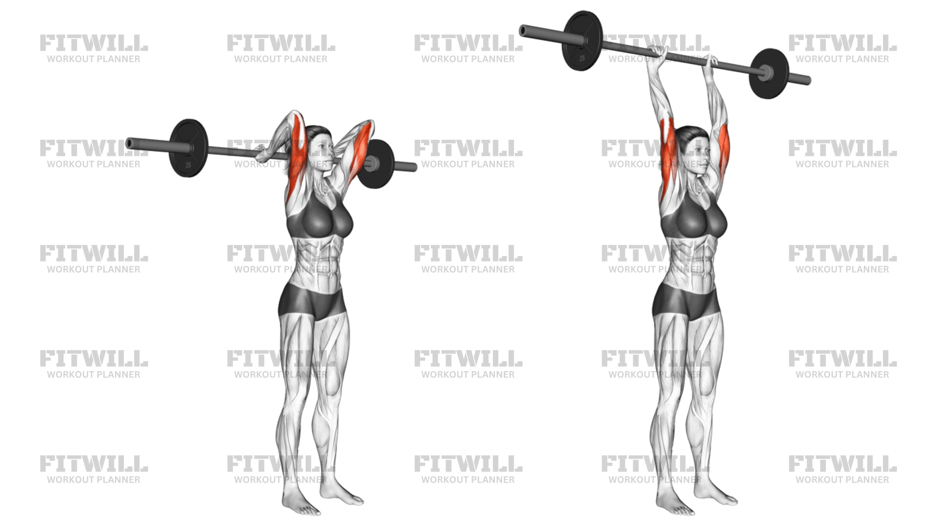 Barbell Standing Overhead Triceps Extension: Exercise Guide, Video, Techniques, Benefits, How to ...
