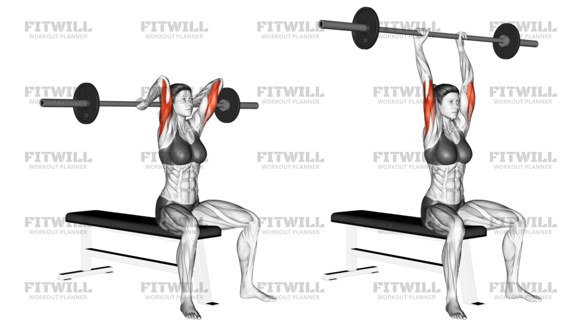 Barbell Seated Overhead Triceps Extension: Exercise Guide, Video, Techniques, Benefits, How to ...