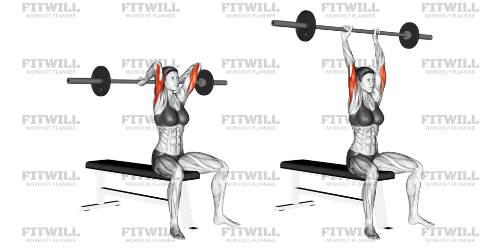 Barbell Seated Overhead Triceps Extension: Exercise Guide, Video ...