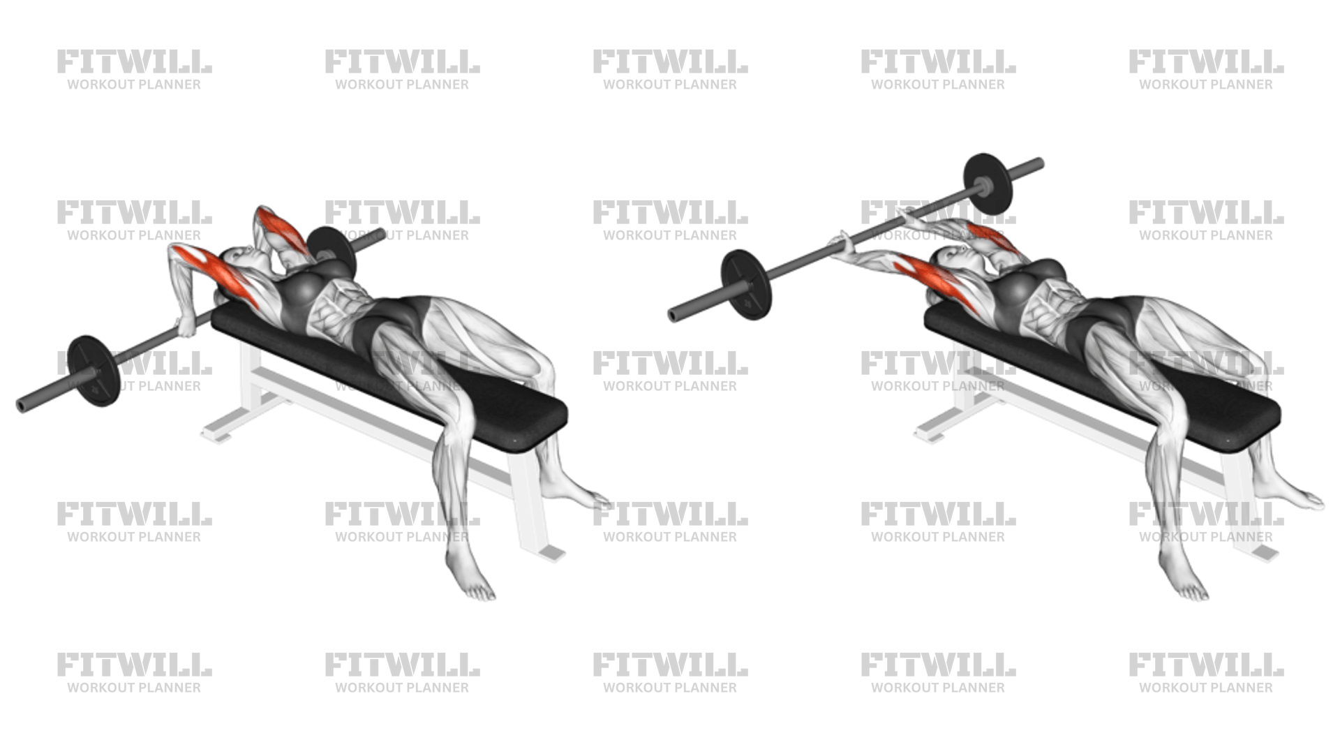 Extensión De Tríceps Con Barra Acostado Y Agarre Cerrado: Guía de ...