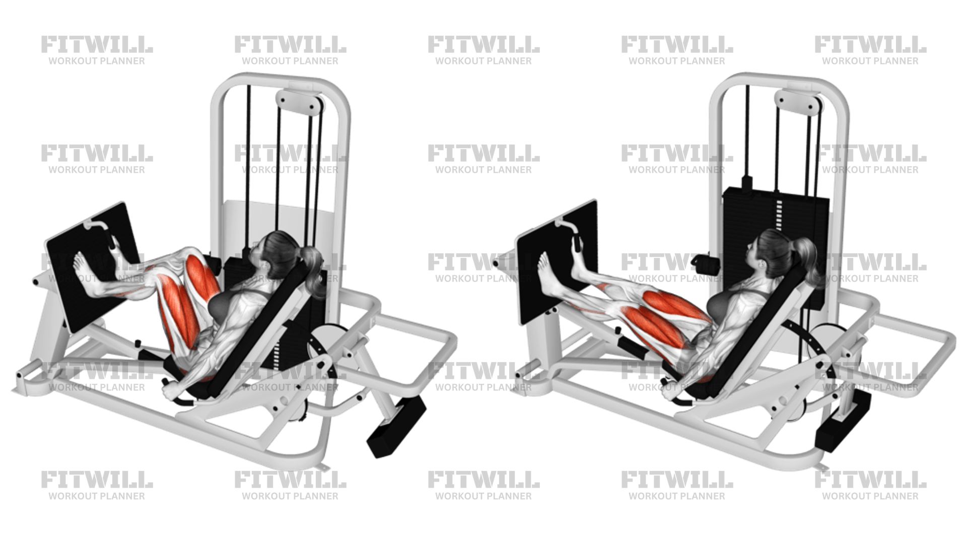 Prensa De Piernas Sentado Con Palanca: Guía de Ejercicios, Video ...