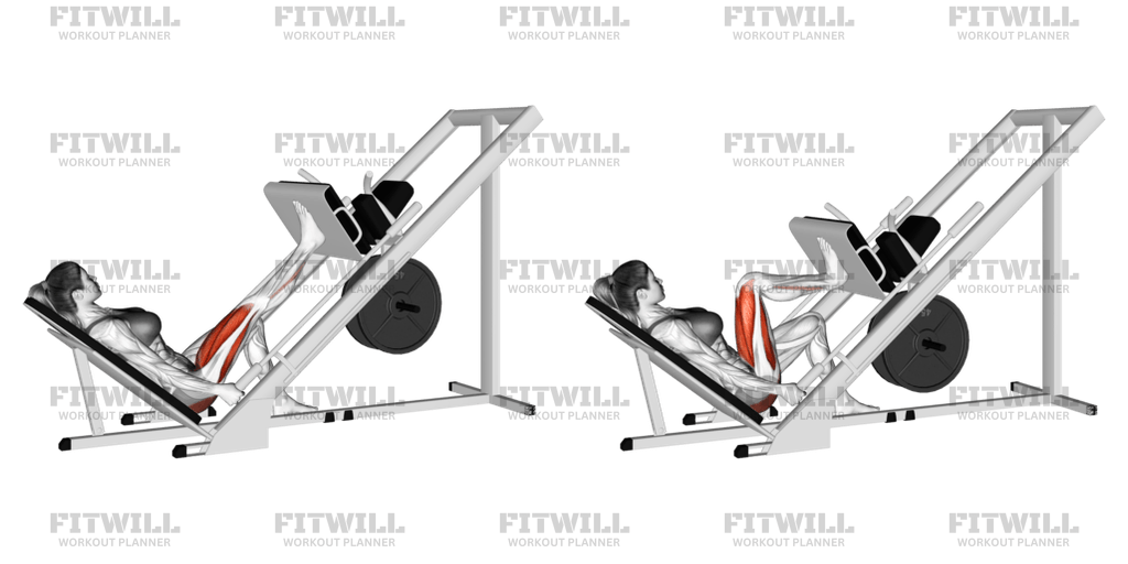 Sled 45 Degrees One Leg Press: Exercise Guide, Techniques, Benefits ...
