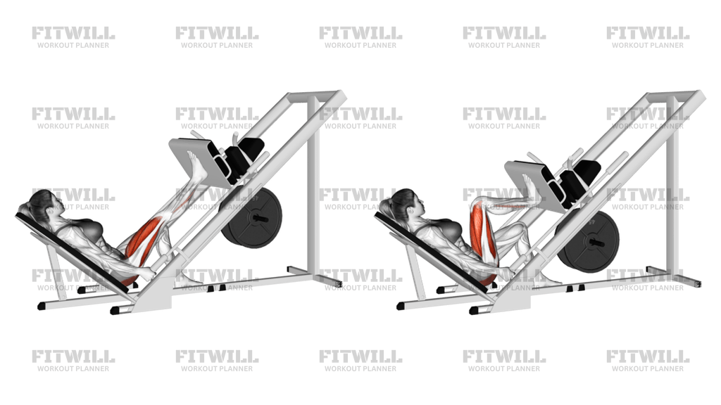 Sled 45 Degrees One Leg Press: Exercise Guide, Techniques, Benefits ...