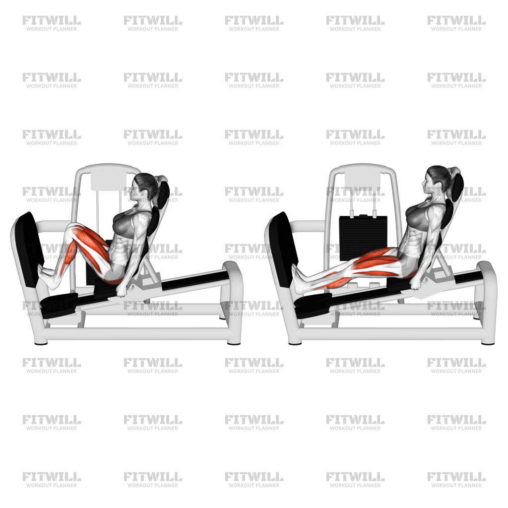 Lever Seated Squat Calf Raise On Leg Press: Exercise Guide, Techniques ...