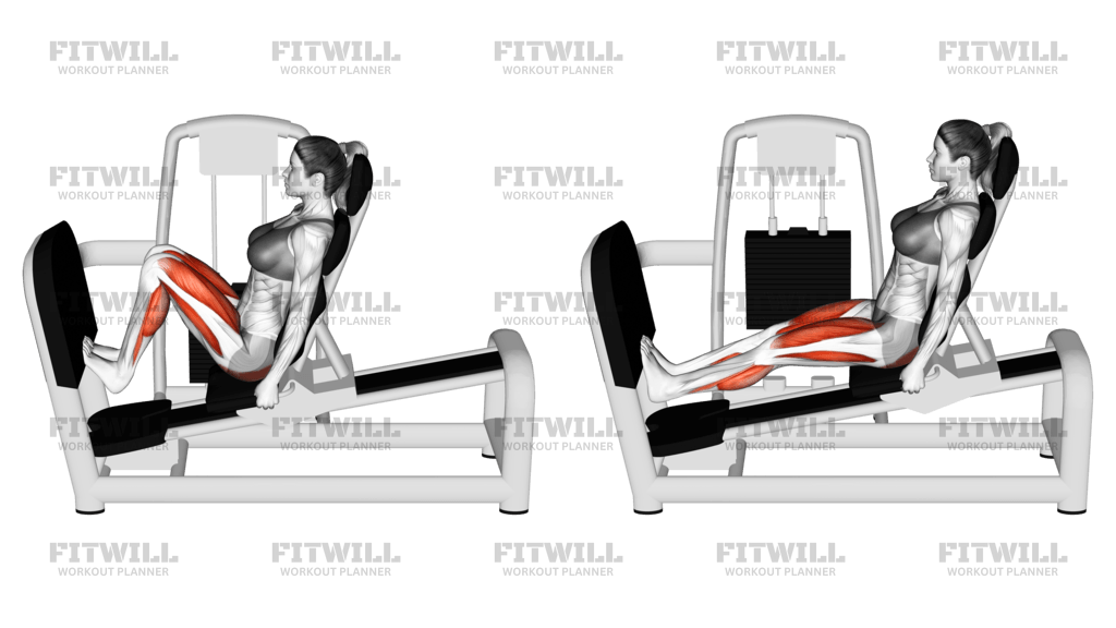 Lever Seated Squat Calf Raise On Leg Press: Exercise Guide, Techniques ...