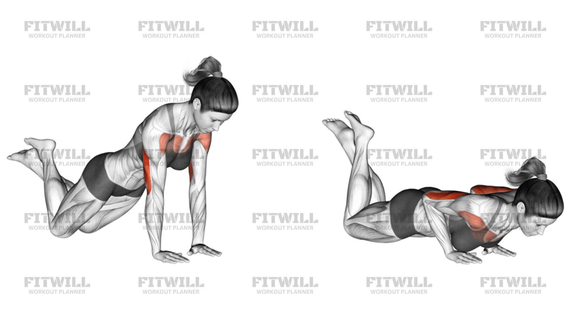 Close-grip Push-up (on Knees): Exercise Guide, Video, Techniques ...