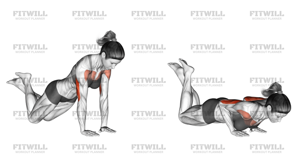 Close-grip Push-up (on Knees): Exercise Guide, Video, Techniques ...