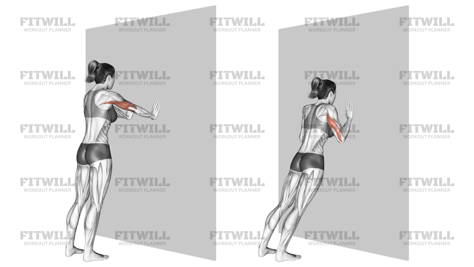Push-up (wall): Exercise Guide, Video, Techniques, Benefits, How to ...