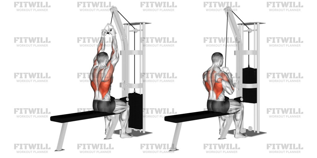 Build a Stronger Back: Cable and Barbell Upper Body Workout for Size ...