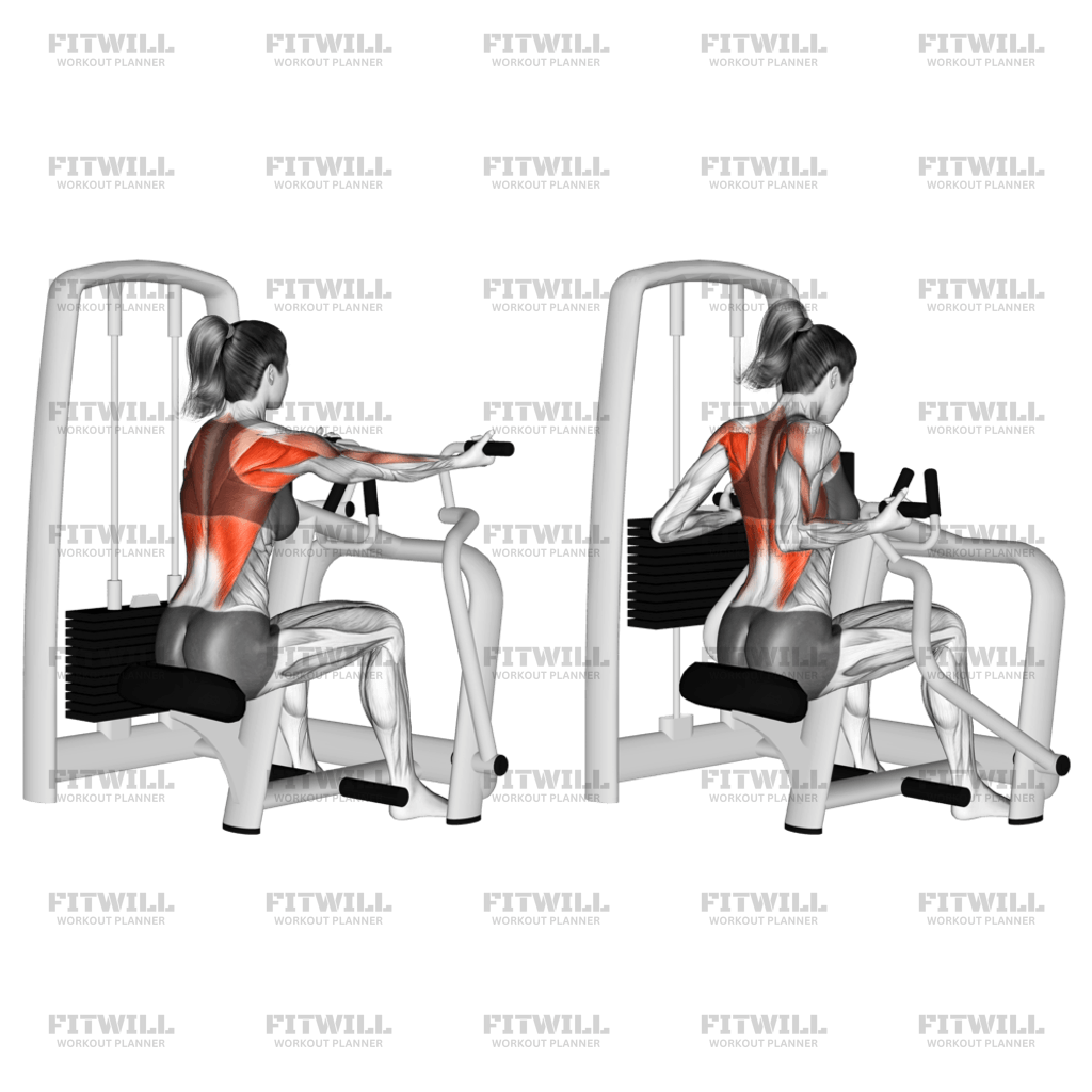 Remada Vertical Com Pegada Invertida Na Máquina De Alavanca: Guia de ...