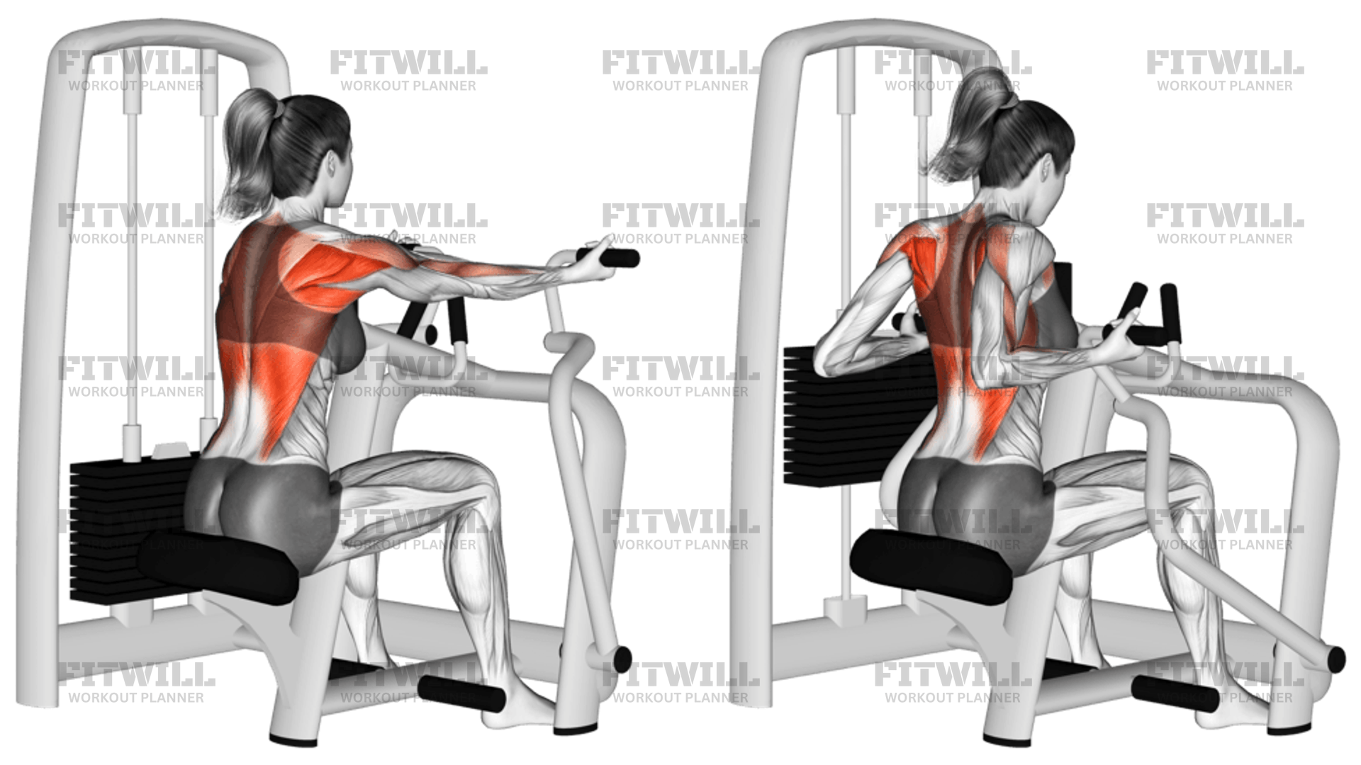 Lever Reverse Grip Vertical Row: Exercise Guide, Techniques, Benefits ...