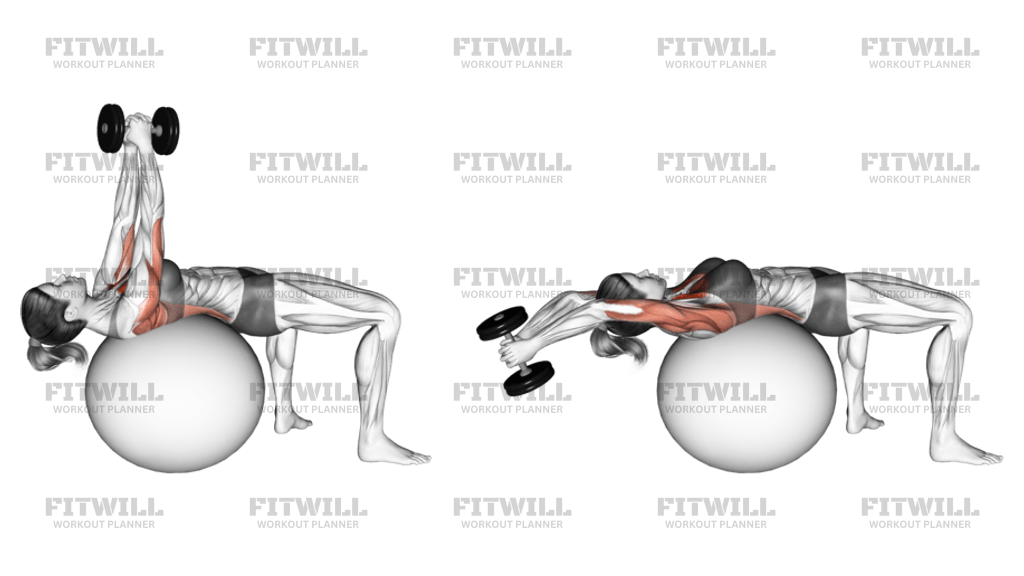 Pullover Com Haltere Na Bola De Exercícios: Guia de Exercícios, Vídeo ...