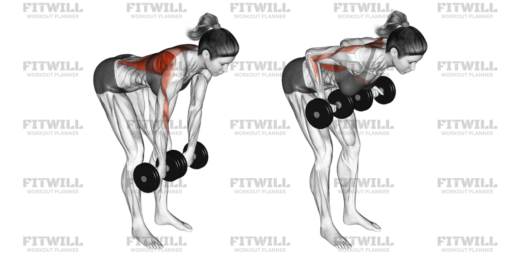 Remo Inclinado Con Mancuernas Y Rotación De Palmas: Guía de Ejercicios ...