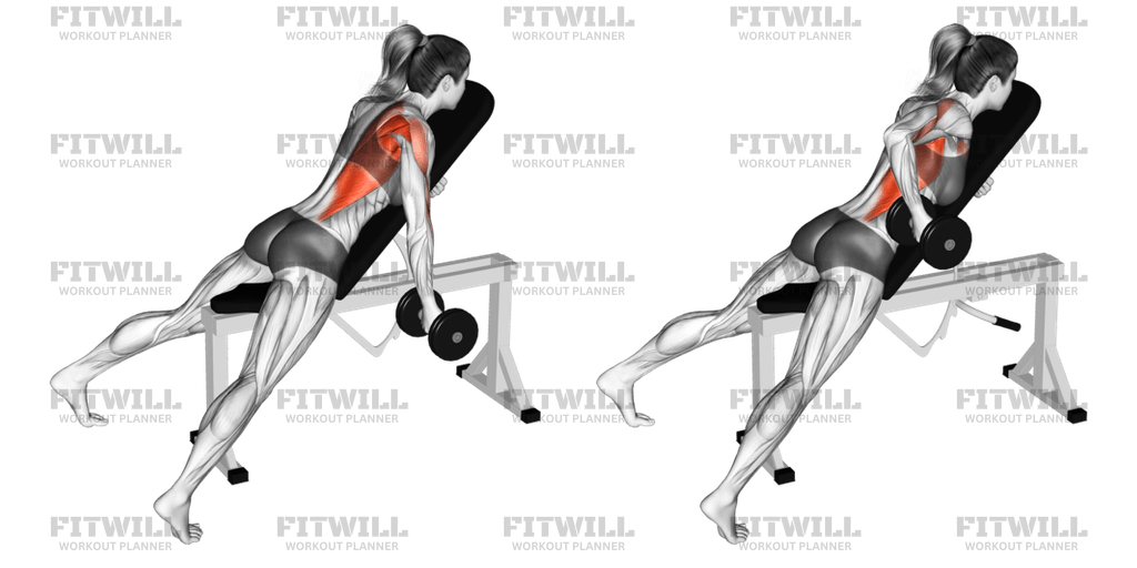 Dumbbell Reverse Grip Incline Bench One Arm Row: Exercise Guide ...