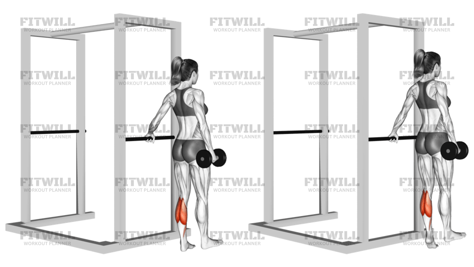 Dumbbell Single Leg Calf Raise: Exercise Guide, Techniques, Benefits ...