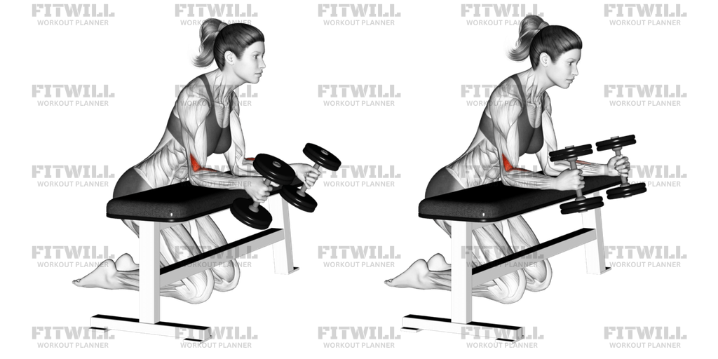 Dumbbell Over Bench Neutral Wrist Curl: Exercise Guide, Techniques ...