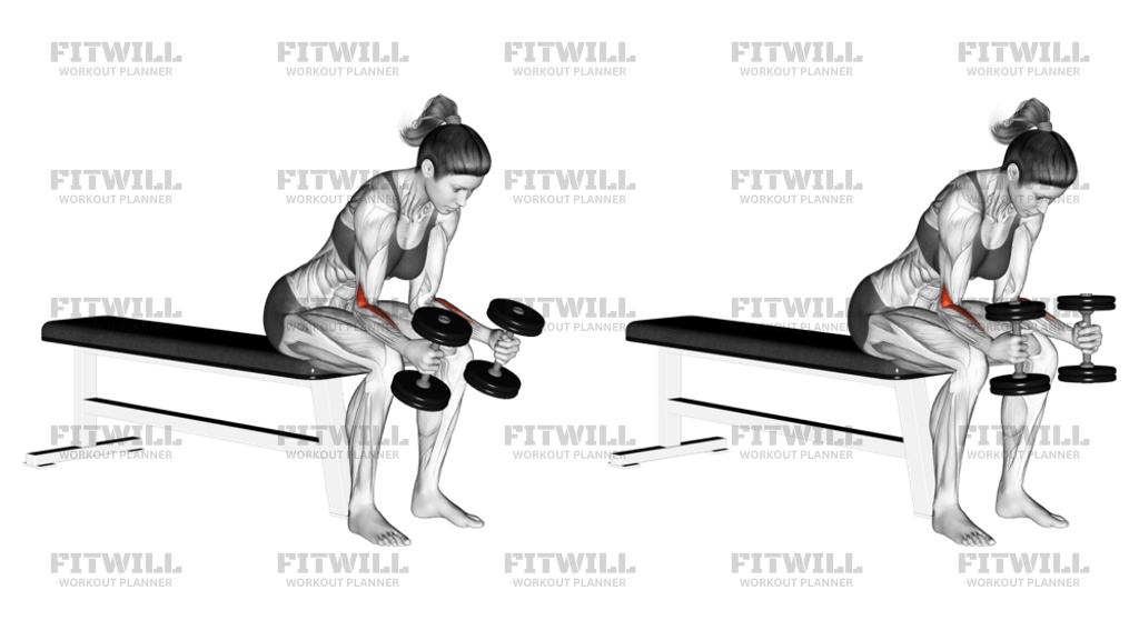 Dumbbell Seated Neutral Wrist Curl: Exercise Guide, Video, Techniques ...
