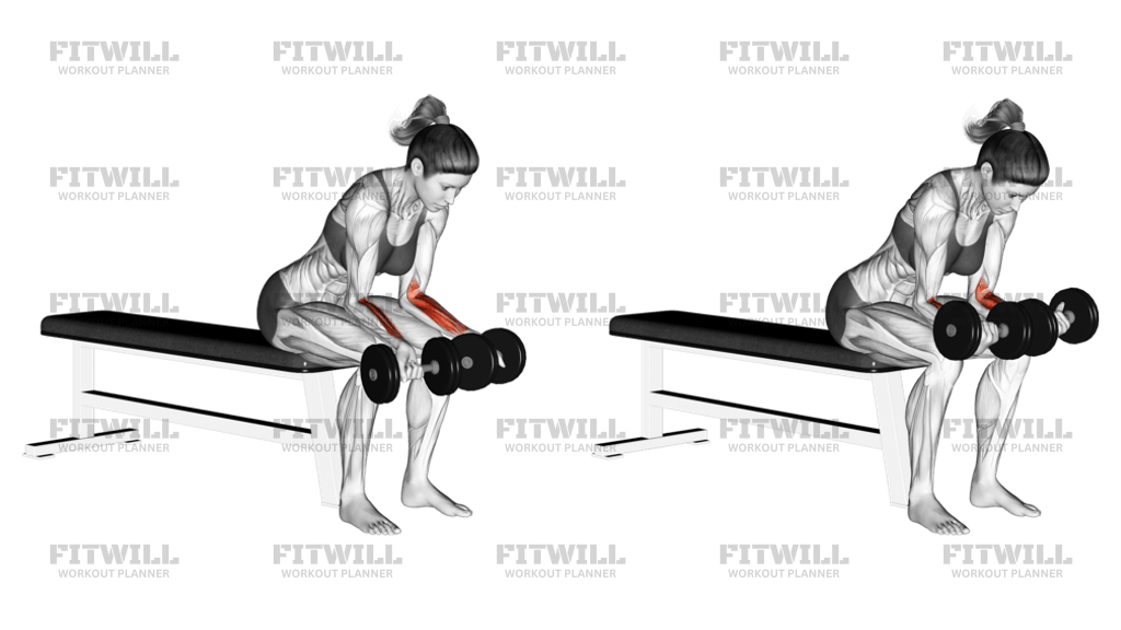 Dumbbell Seated Palms Up Wrist Curl: Exercise Guide, Techniques ...