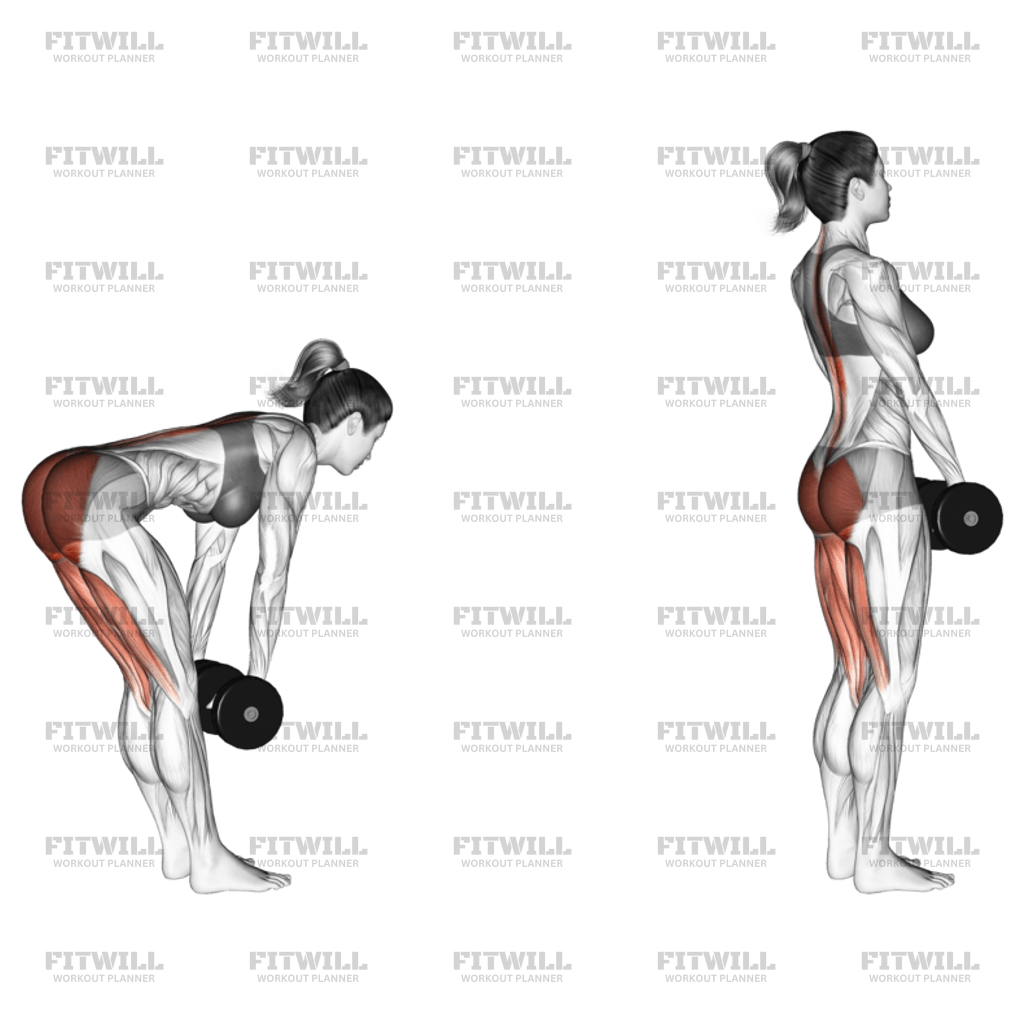 Dumbbell Stiff Leg Deadlift: Exercise Guide, Video, Techniques ...