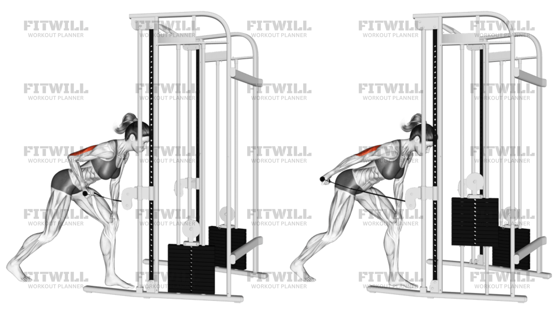 Patada Trasera Con Cable: Guía de Ejercicios, Técnicas, Beneficios ...