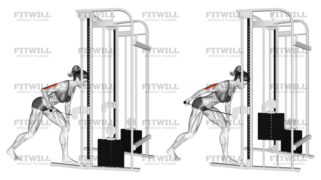 Cable Kickback: Exercise Guide, Techniques, Benefits, How to, Muscles ...