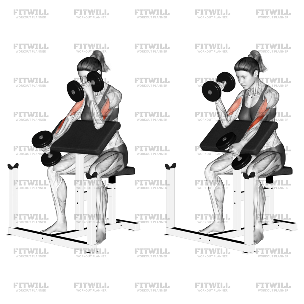Abwechselnder Hammer-Preacher-Curl Mit Kurzhantel: Übungsanleitung ...