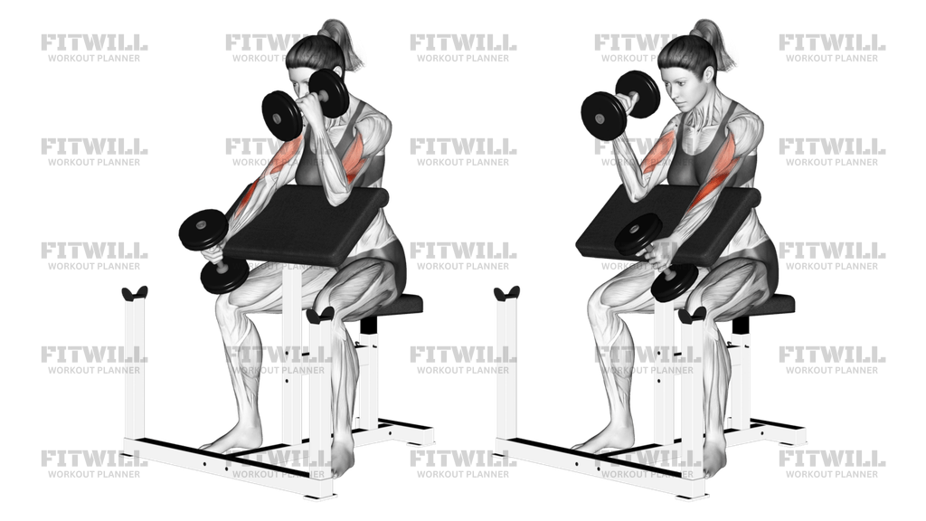 Dumbbell Alternate Hammer Preacher Curl: Exercise Guide, Techniques ...