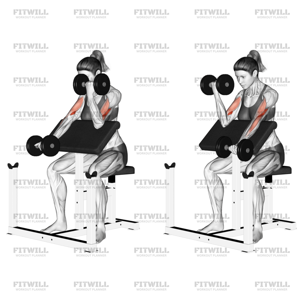 How To Do Dumbbell Alternate Preacher Curl Techniques Benefits Tips And Tricks Fitwill 