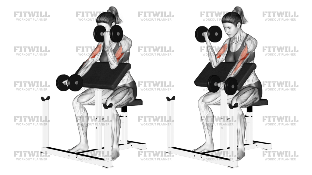 Dumbbell Alternate Preacher Curl: Exercise Guide, Techniques, Benefits ...