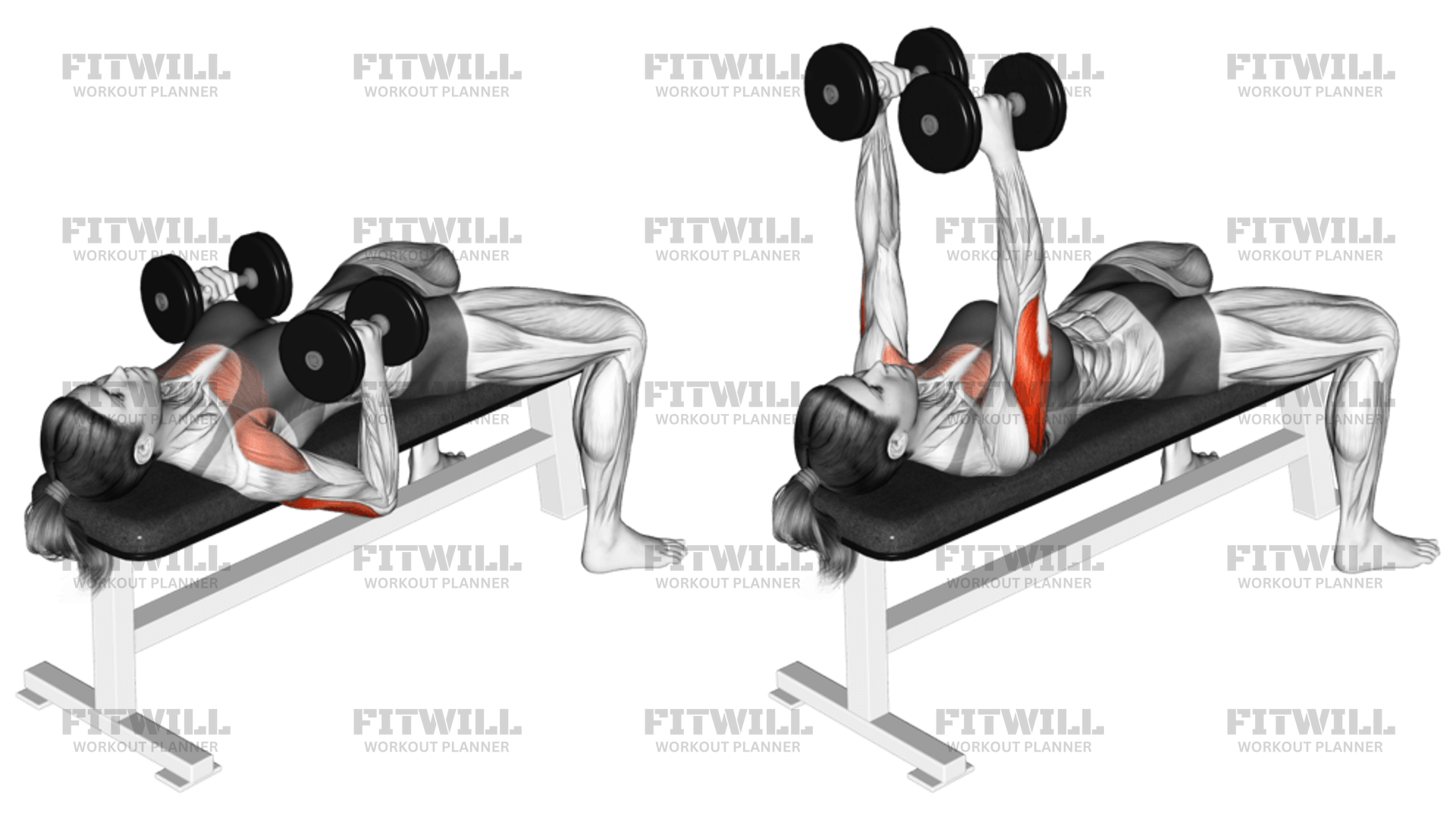 Dumbbell Close Grip Press: Exercise Guide, Video, Techniques, Benefits ...