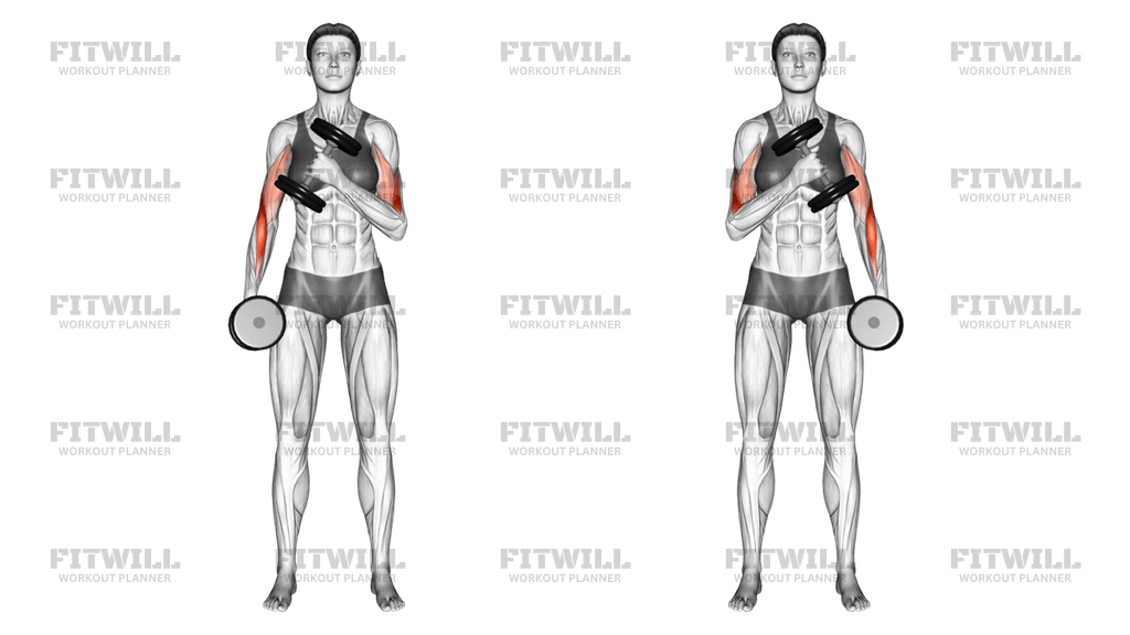 How to do Dumbbell Cross Body Hammer Curl (Version 2): Techniques ...