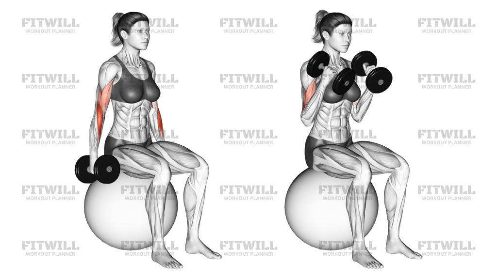 How To Do Dumbbell Hammer Curl On Exercise Ball Techniques Benefits Tips And Tricks Fitwill