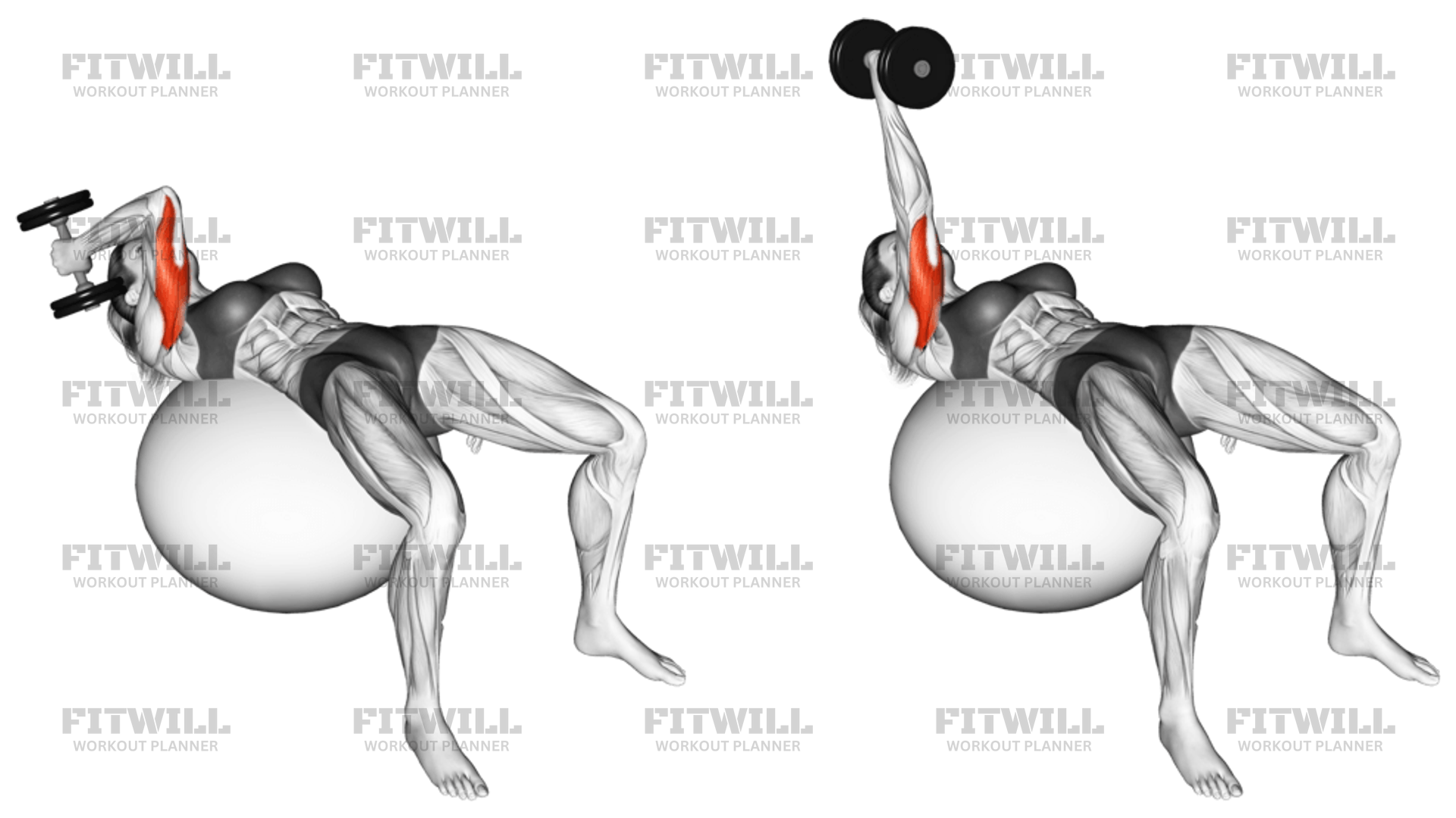 Press Francés Con Mancuerna A Un Brazo En Balón De Ejercicio: Guía de ...