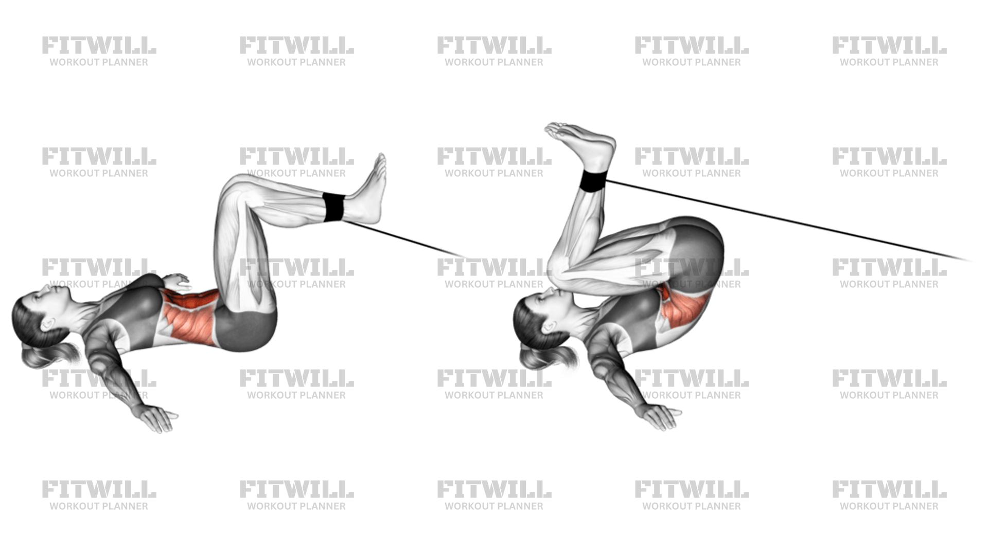 Cable Reverse Crunch: Exercise Guide, Techniques, Benefits, How to ...