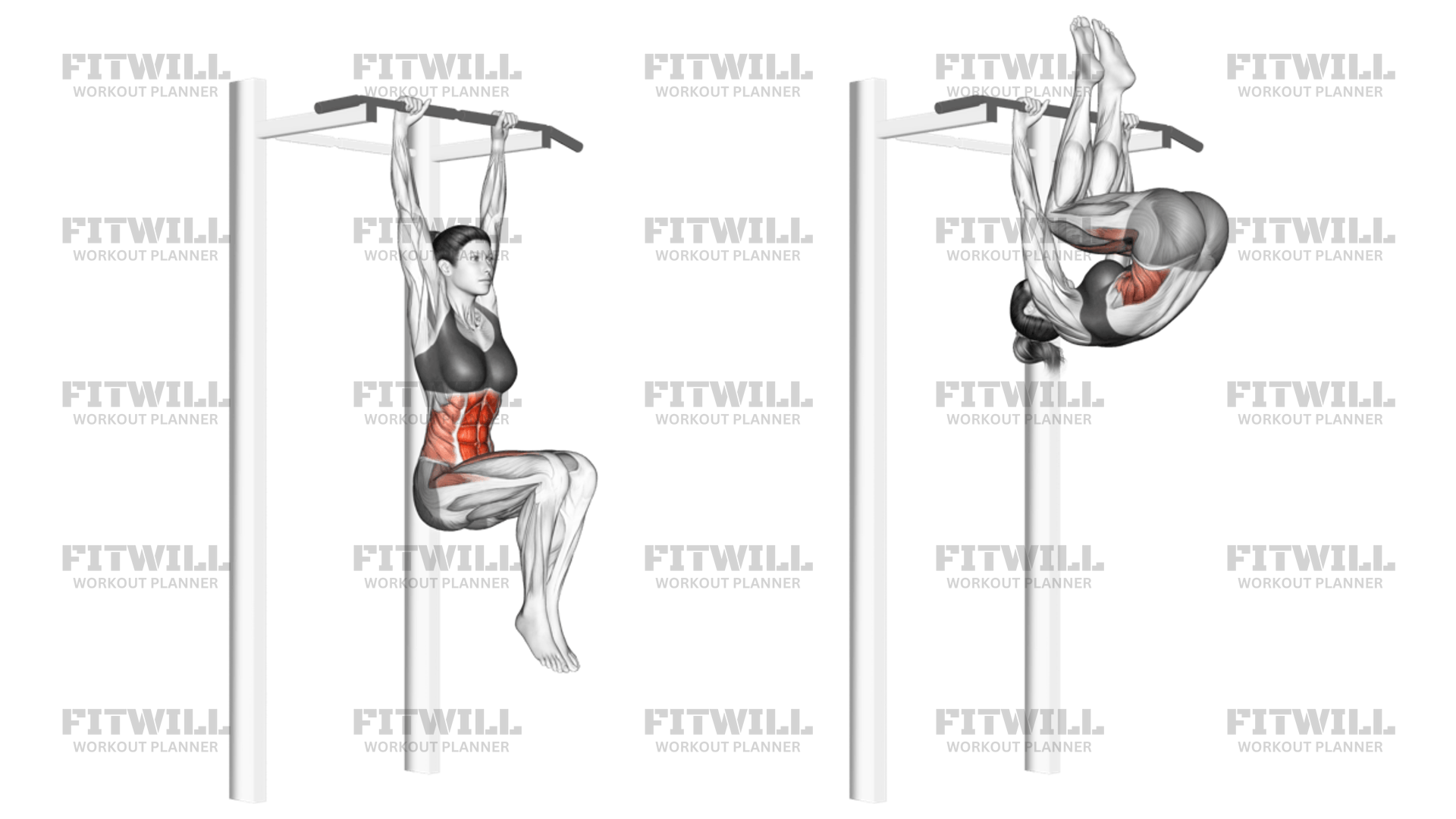 Hanging Pike: Exercise Guide, Techniques, Benefits, How to, Muscles ...