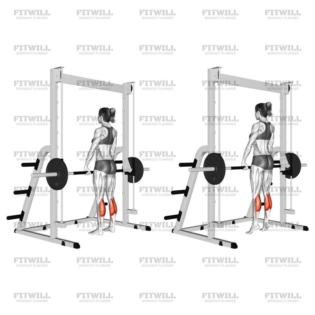 Smith Standing Leg Calf Raise: Exercise Guide, Video, Techniques ...