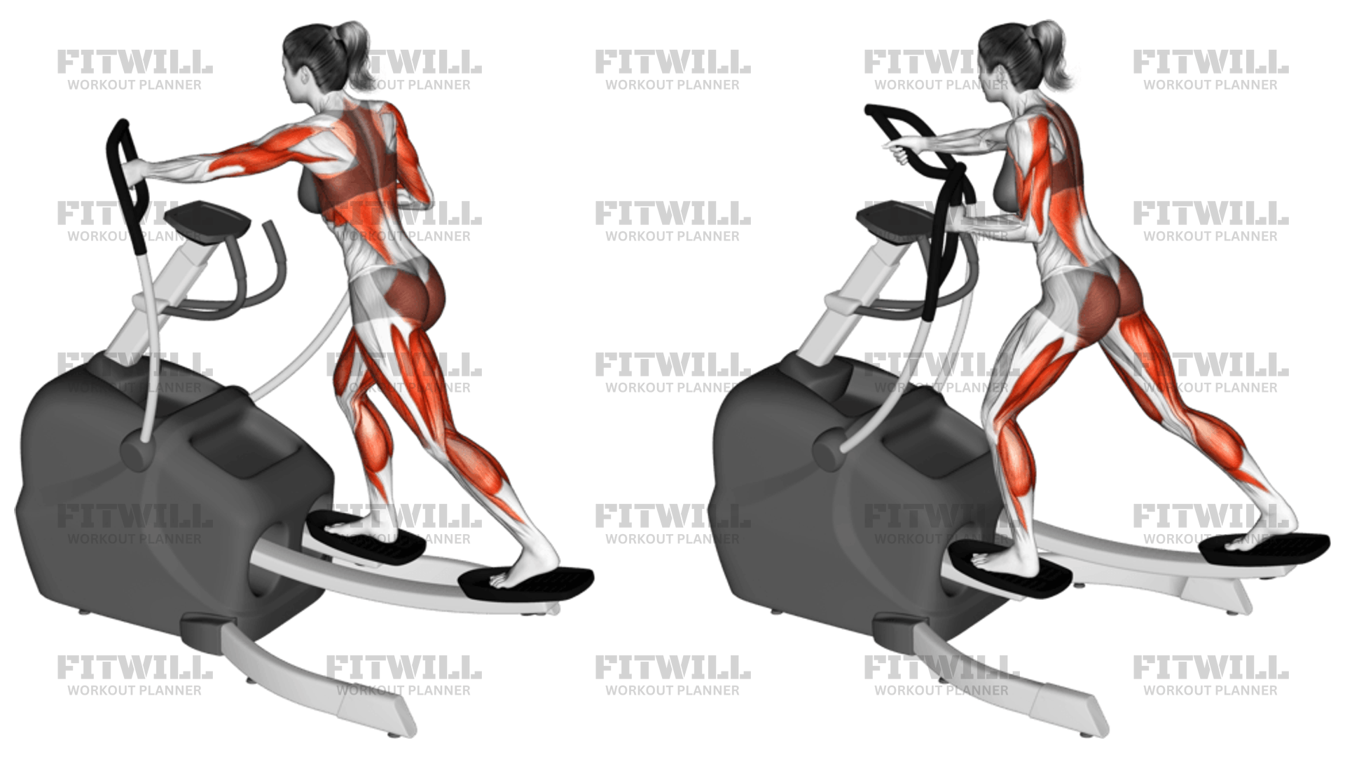 Esquí En Máquina Elíptica: Guía de Ejercicios, Video, Técnicas, Beneficios, Cómo Realizarlo ...